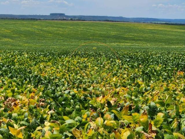 Fazenda para Venda em Luziânia/GO Centro