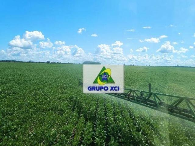 Fazenda para venda em Luciara