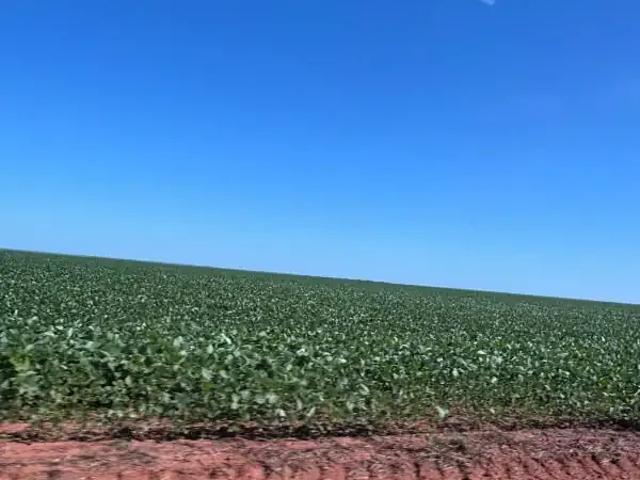 Fazenda para Venda em Luís Eduardo Magalhães/BA Centro
