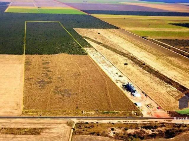 Fazenda para Venda em Luís Eduardo Magalhães/BA Zona Rural