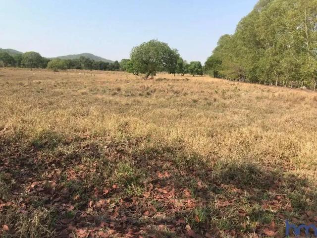 Fazenda para Venda em Mozarlândia/GO Zona Rural