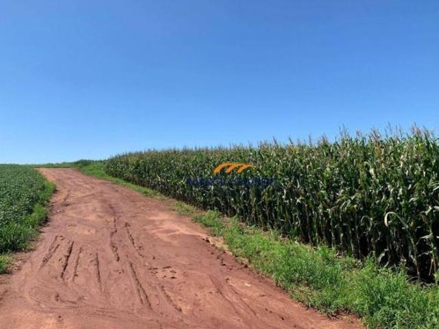 Fazenda para venda em Mococa