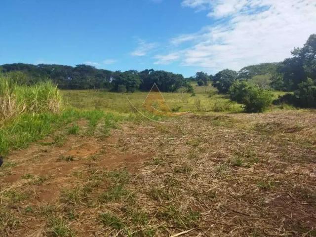 Fazenda para Venda em Mococa/SP Área Rural de Mococa 2 Quartos