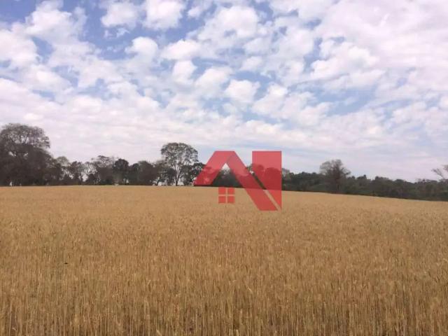 Fazenda para Venda em Mogi Guaçu/SP Área Rural de Mogi Guaçu 3 Quartos