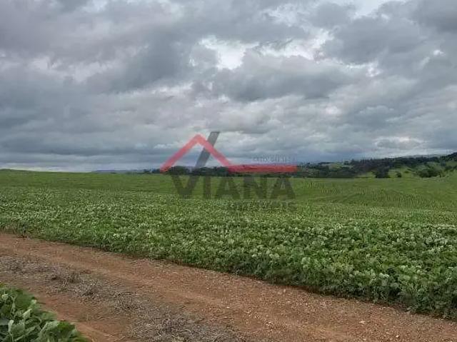 Fazenda para Venda em Mogi Mirim/SP Área Rural de Mogi Mirim