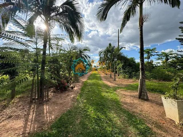 Fazenda para Venda em Mogi Mirim/SP Centro 4 Quartos