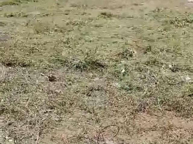 Fazenda para Venda em Mogi Mirim/SP Jardim Flamboyant
