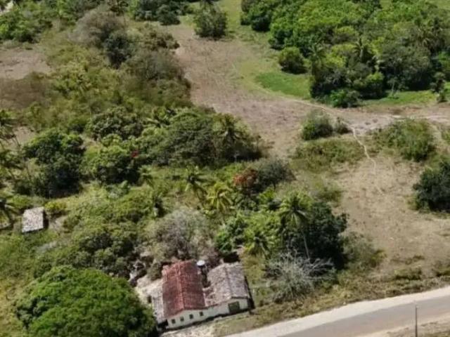 Fazenda para Venda em Monte Alegre/RN Zona Rural 4 Quartos