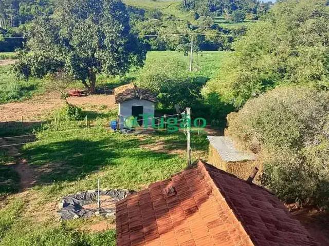 Fazenda para Venda em Monte Aprazível/SP Jardim Europa 3 Quartos
