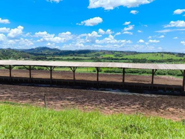 Fazenda para Venda em Monte Santo de Minas, RURAL