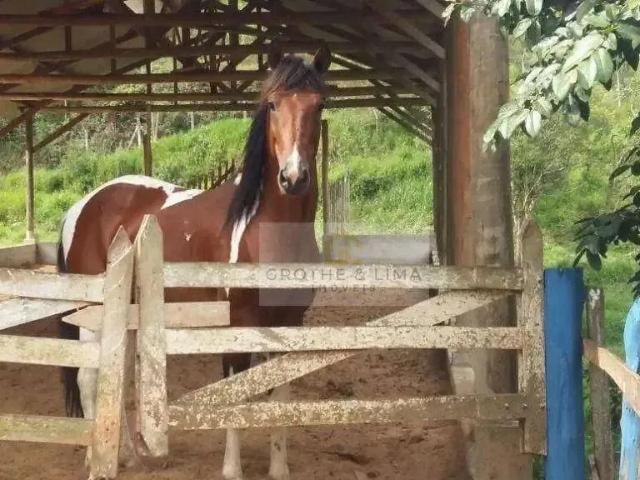 Fazenda para Venda em Monteiro Lobato/SP Zona Rural 1 Quartos