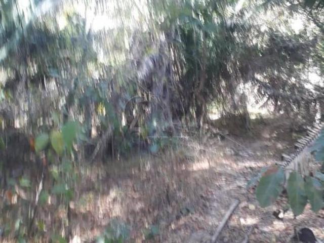 Fazenda para venda em Montes Claros