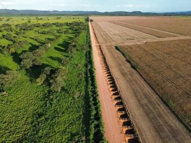 Fazenda para Venda em Montes Claros de Goiás/GO Zona Rural
