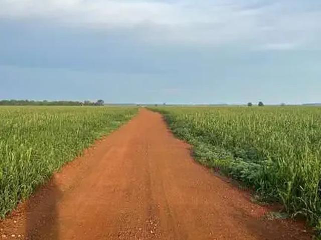 Fazenda para Venda em Montes Claros de Goiás/GO Zona Rural