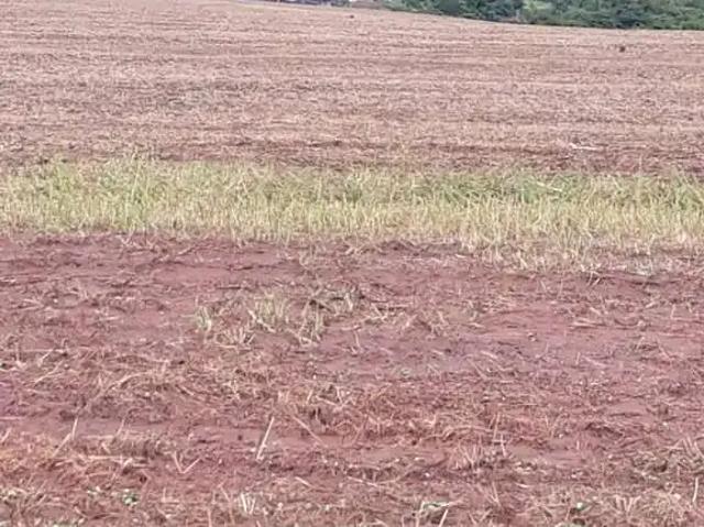 Fazenda para Venda em Montividiu/GO Zona Rural