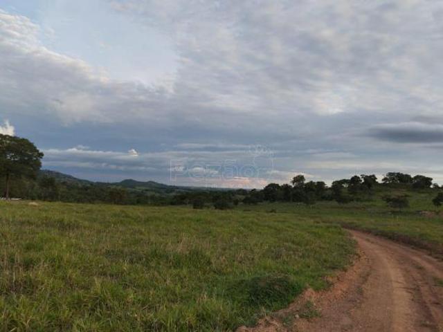 Fazenda para venda em Morro Agudo de Goiás