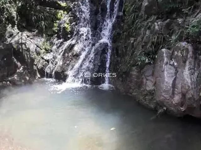 Fazenda para Venda em Morro Agudo de Goiás/GO Zona Rural 1 Quartos
