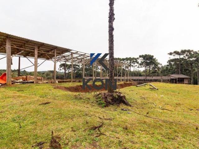 Fazenda para venda em Morro Alto, Guarapuava