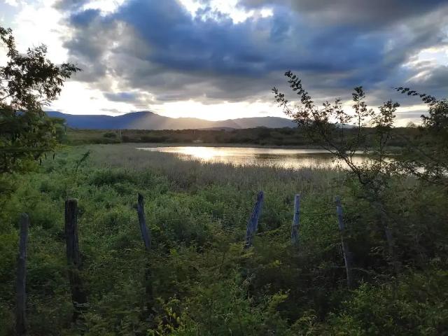 Fazenda para Venda em Morro do Chapéu/BA Zona Rural