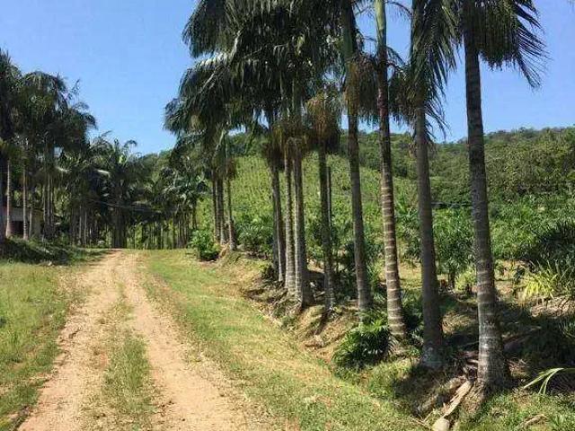 Fazenda para Venda em Morretes/PR Zona Rural 5 Quartos