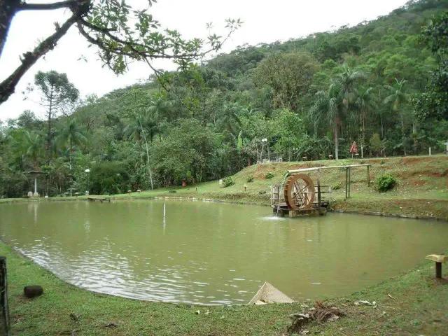 Fazenda para Venda em Morretes/PR Porto de Cima 2 Quartos