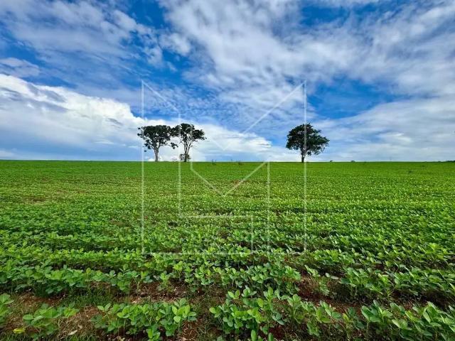 Fazenda para Venda em Morrinhos/GO Setor Central 4 Quartos