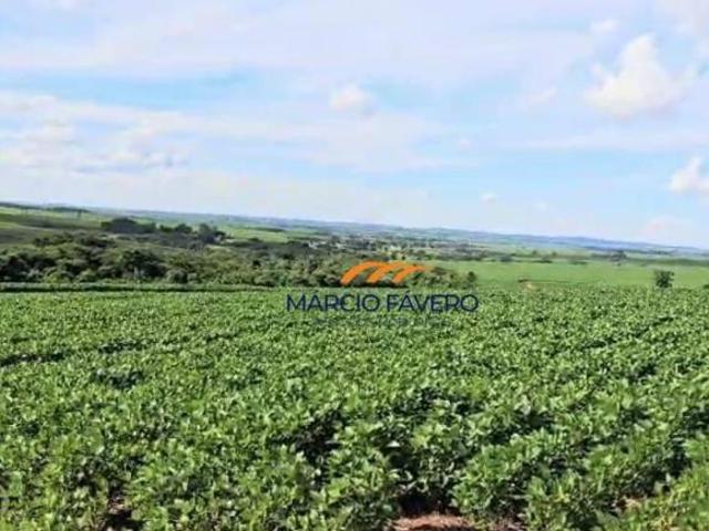 Fazenda para venda em Matão