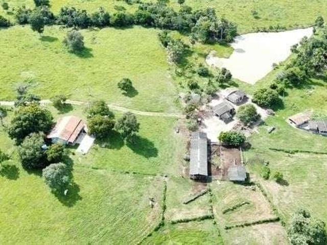 Fazenda para Venda em Matrinchã/GO Lua Nova 5 Quartos