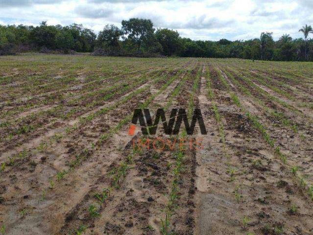 Fazenda para Venda em Matrinchã/GO Zona Rural