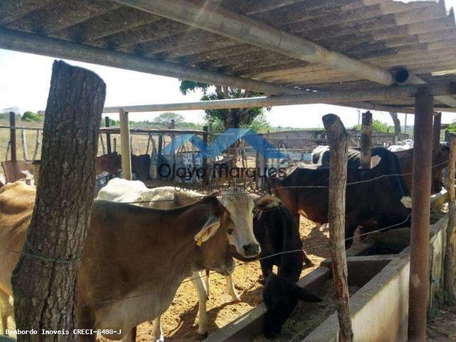 Fazenda para Venda em Macaíba/RN Traíras