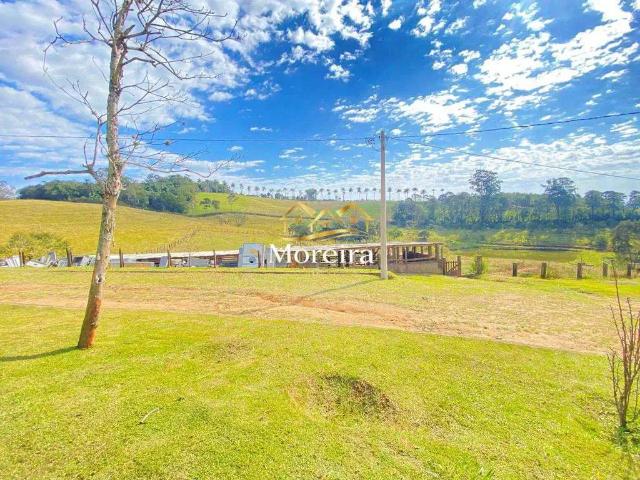 Fazenda para Venda em Mairinque/SP Dona Catarina 5 Quartos