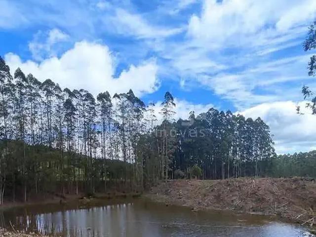 Fazenda para Venda em Major Gercino/SC Centro