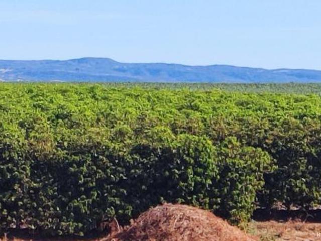 Fazenda para venda em Major Porto, Patos de Minas