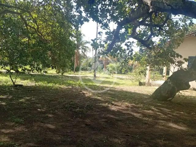 Fazenda para Venda em Mamanguape/PB Centro 2 Quartos