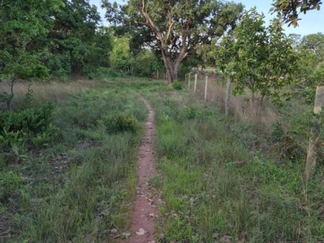 Fazenda para Venda em Manga