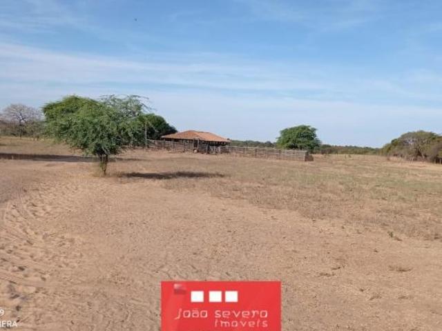 Fazenda para Venda em Manga