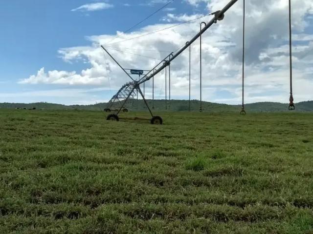 Fazenda para Venda em Manga/MG Zona Rural