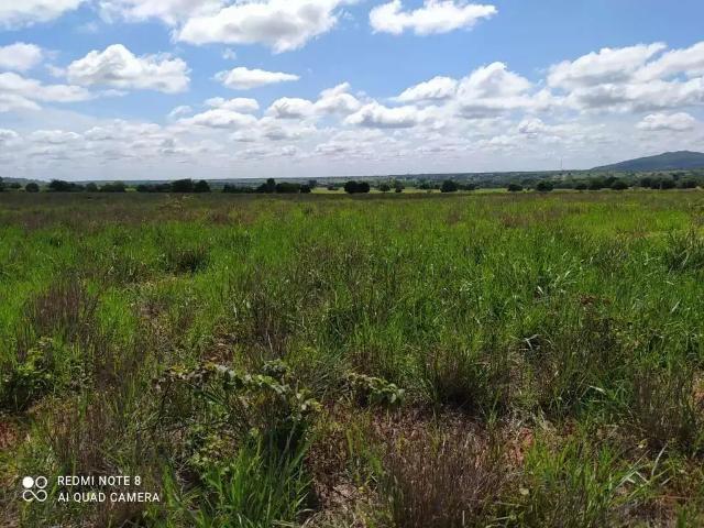 Fazenda para Venda em Manga/MG Centro 1 Quartos