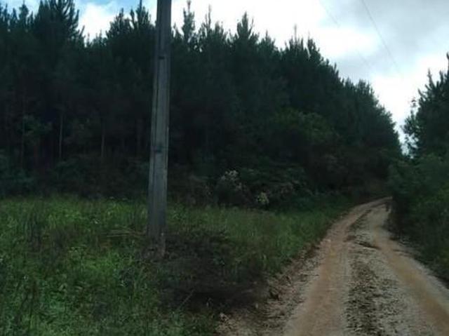 Fazenda para venda em Mandirituba