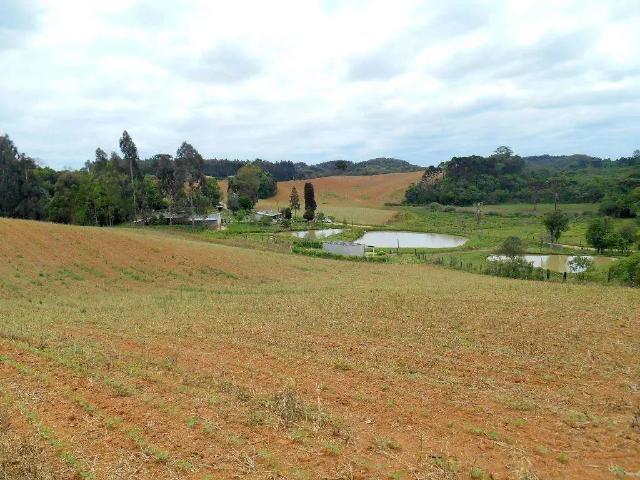 Fazenda para Venda em Mandirituba/PR Areia Branca dos Assis 3 Quartos