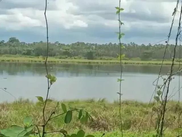Fazenda para Venda em Manoel Emídio/PI Zona Rural