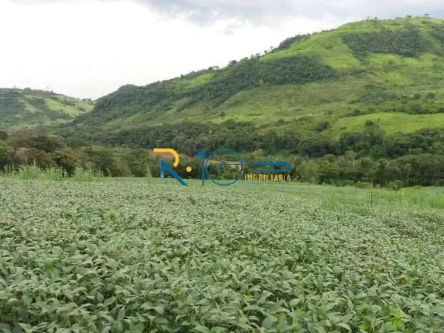 Fazenda para Venda em Manoel Ribas/PR Zona Rural