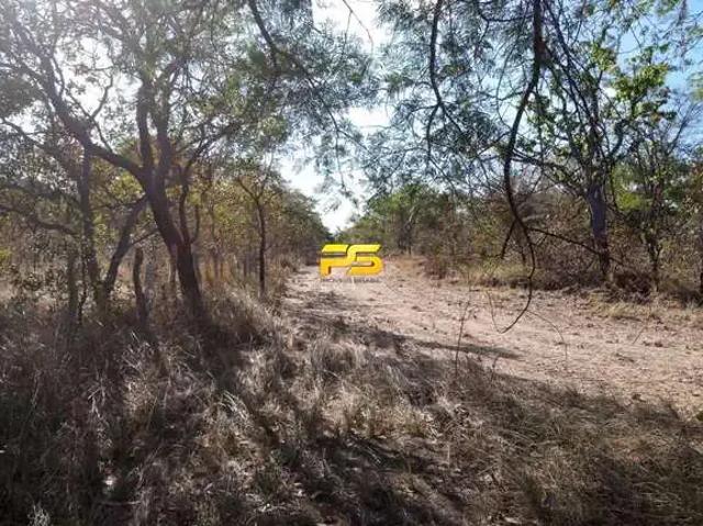 Fazenda para Venda em Marcos Parente/PI Zona Rural