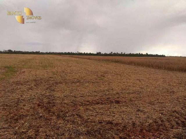 Fazenda para Venda em Marcelândia/MT Zona Rural