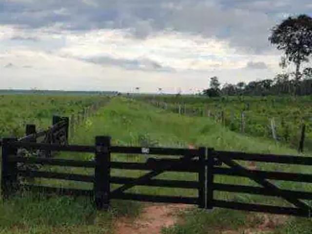 Fazenda para Venda em Marcelândia/MT Zona Rural