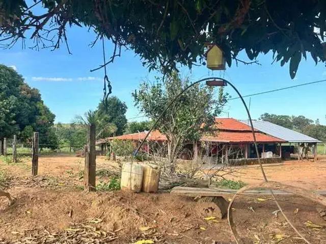 Fazenda para Venda em Mara Rosa/GO Zona Rural