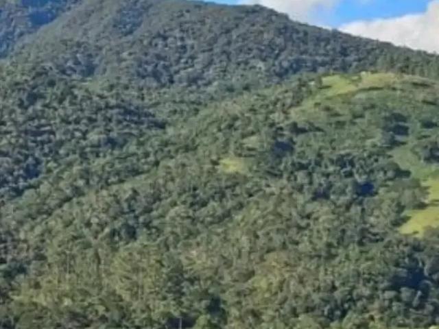 Fazenda para Venda em Maranguape/CE Área Rural de Maranguape