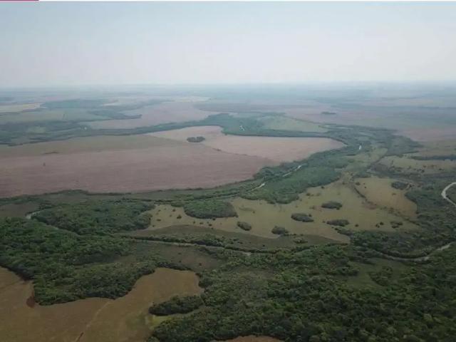 Fazenda para Venda em Maracaju/MS Zona Rural