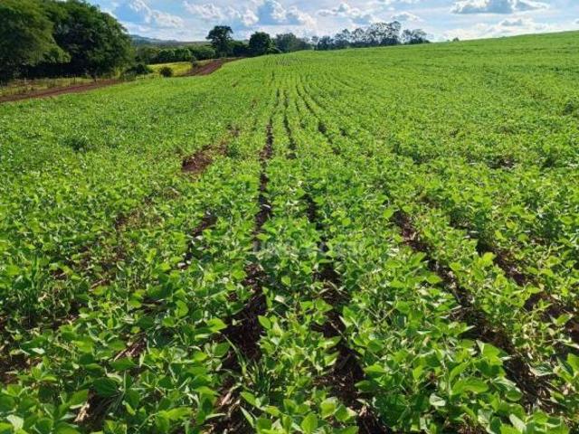 Fazenda para venda em Maravilha, Londrina