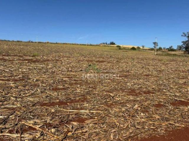 Fazenda para venda em Maravilha, Londrina